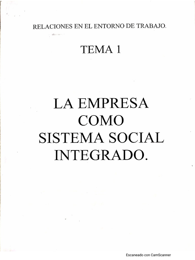 Tema 1 La Empresa Como Sistema Social Integrado | PDF