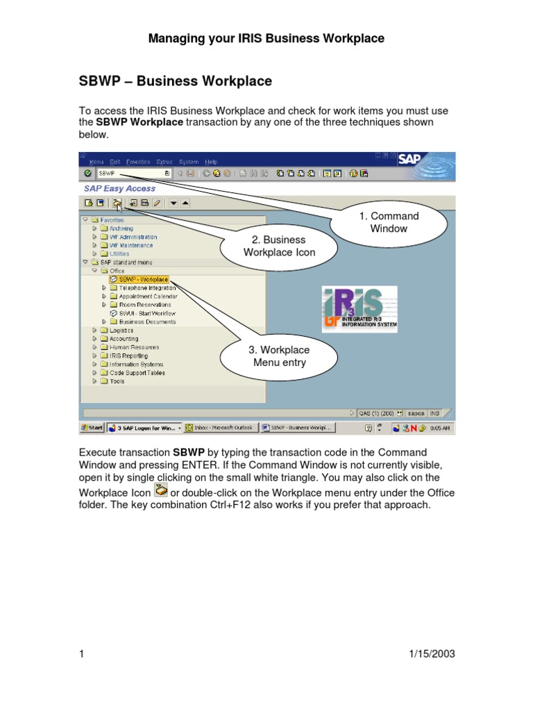 SBWP - Business Workplace | PDF | Double Click | Icon (Computing)