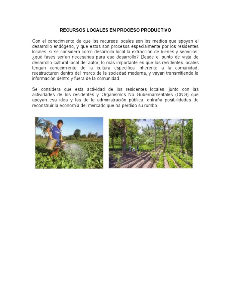 Recursos Locales en Proceso Productivo | PDF