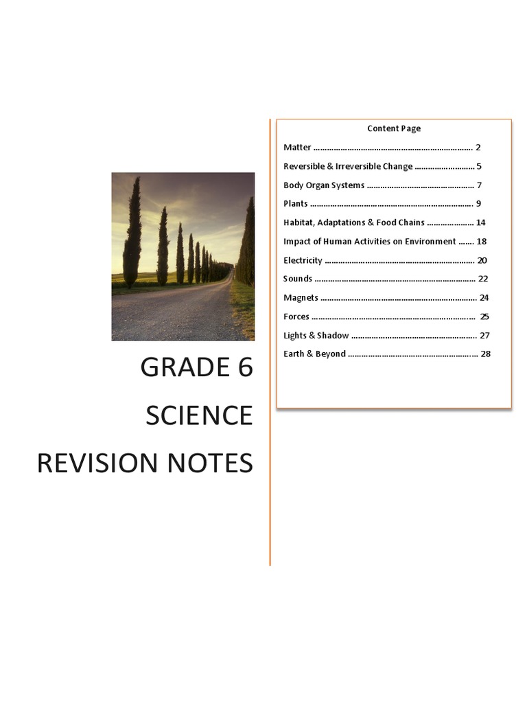 Grade 6 Science Revision Notes | PDF | Flowers | Force