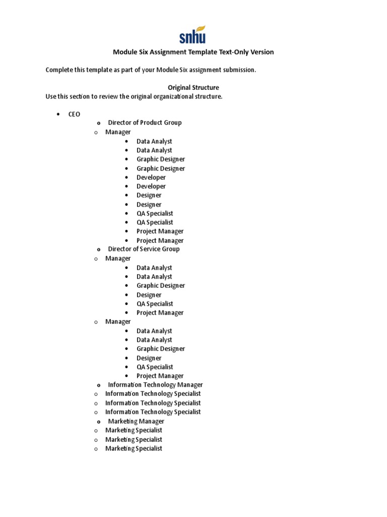 Module 6 Organizational Structure Update | PDF | Computing ...
