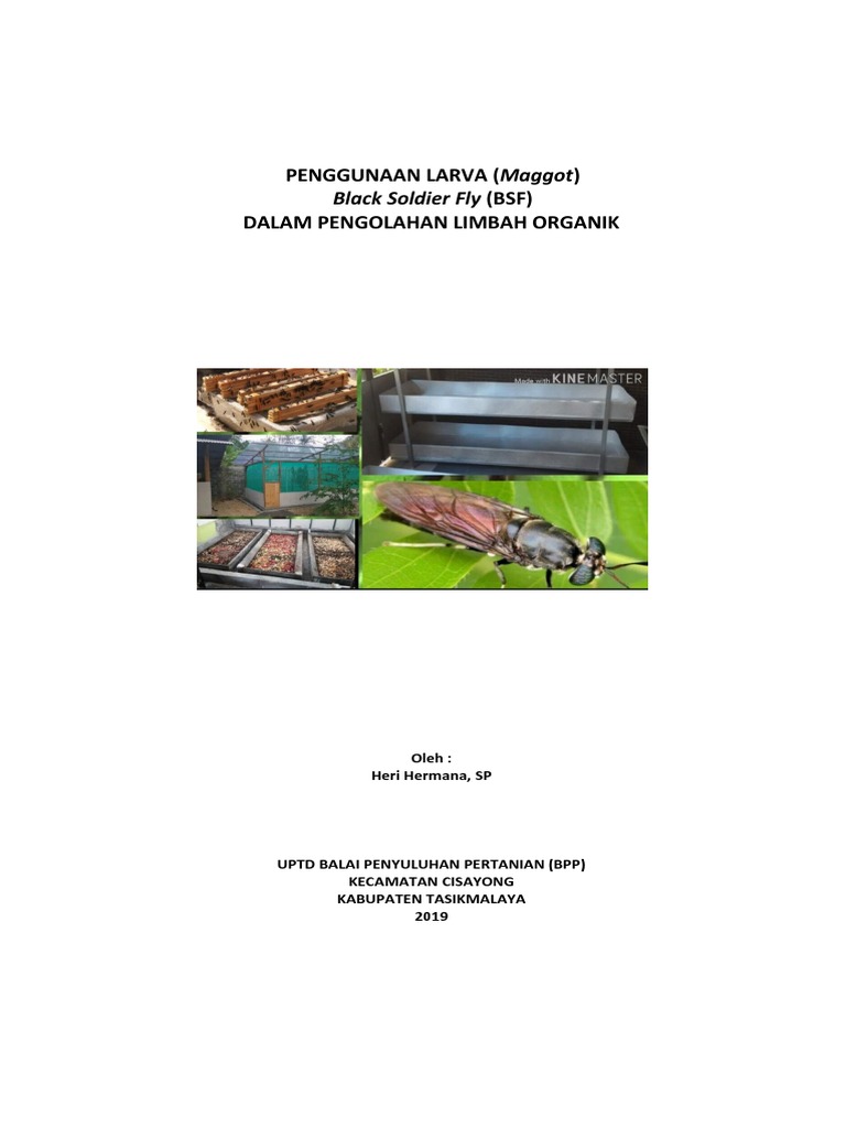Presentasi Magot - Heri | PDF | Sains & Matematika