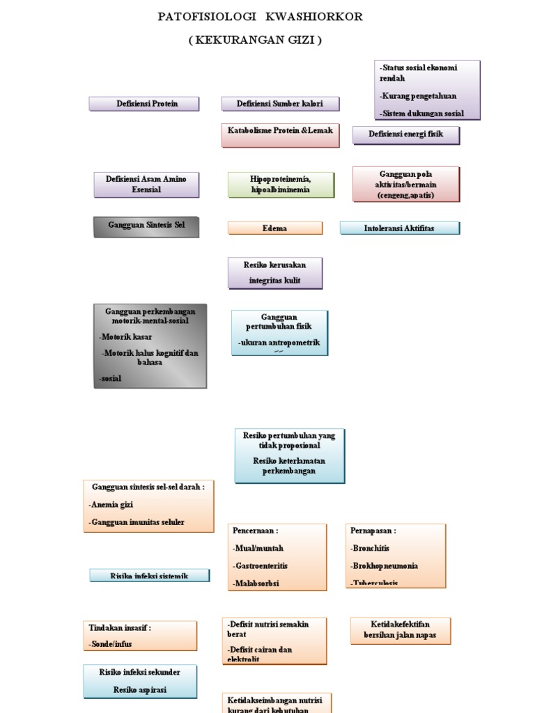 Patofisiologi Kwashiorkor | PDF