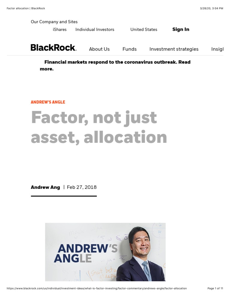 Factor Allocation - BlackRock | PDF | Asset Allocation ...
