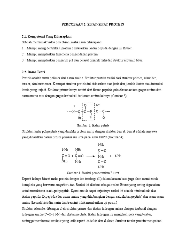Sifat-Sifat Protein | PDF