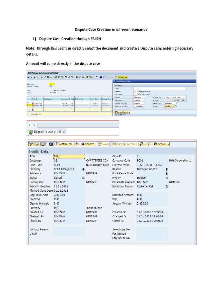 Dispute Case Creation Sap | PDF Dispute Case Creation Sap | PDF