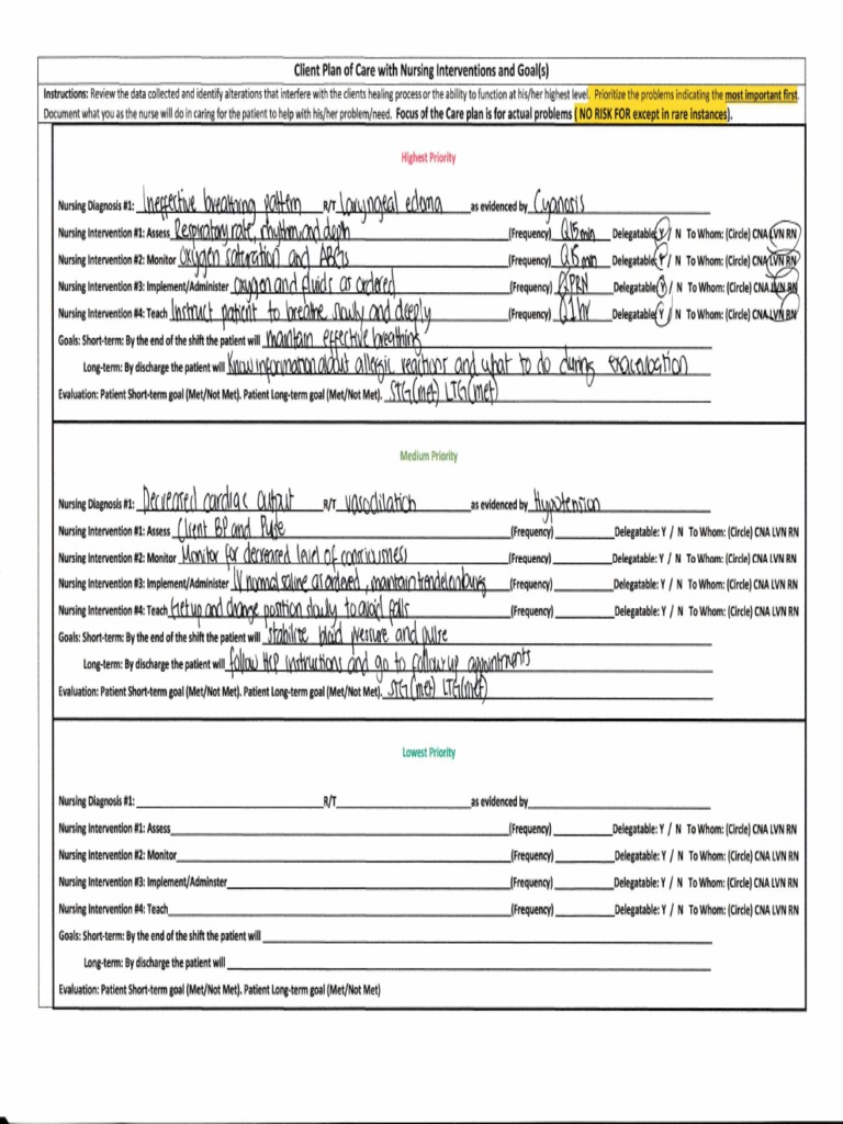 Comprehensive Plan of Care Outlining Nursing Diagnoses, Interventions ...