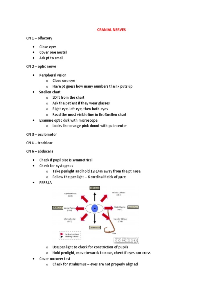 Retdem Notes | PDF | Human Head And Neck | Human Anatomy