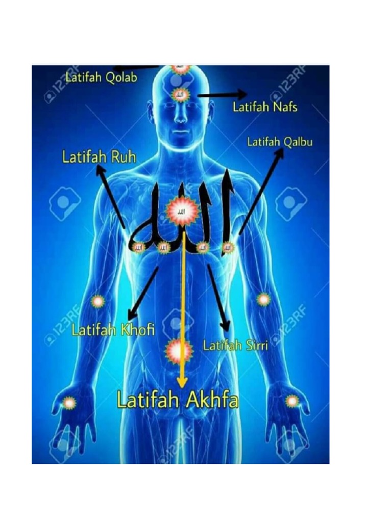 7 Latifah | PDF