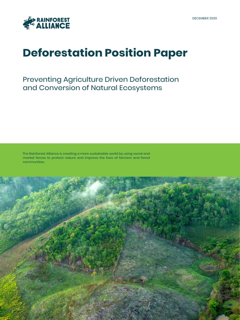 Deforestation Position Paper | PDF | Deforestation | Sustainability