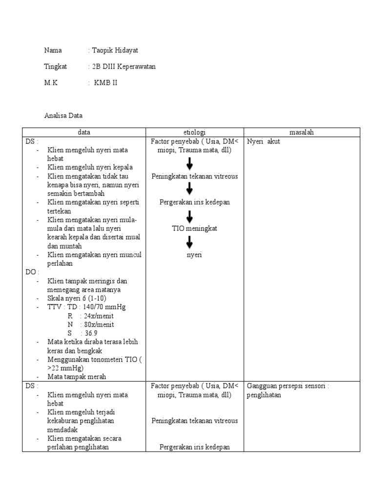 Tugas ASKEP Indra (Penglihatan), Taopik Hidayat | PDF