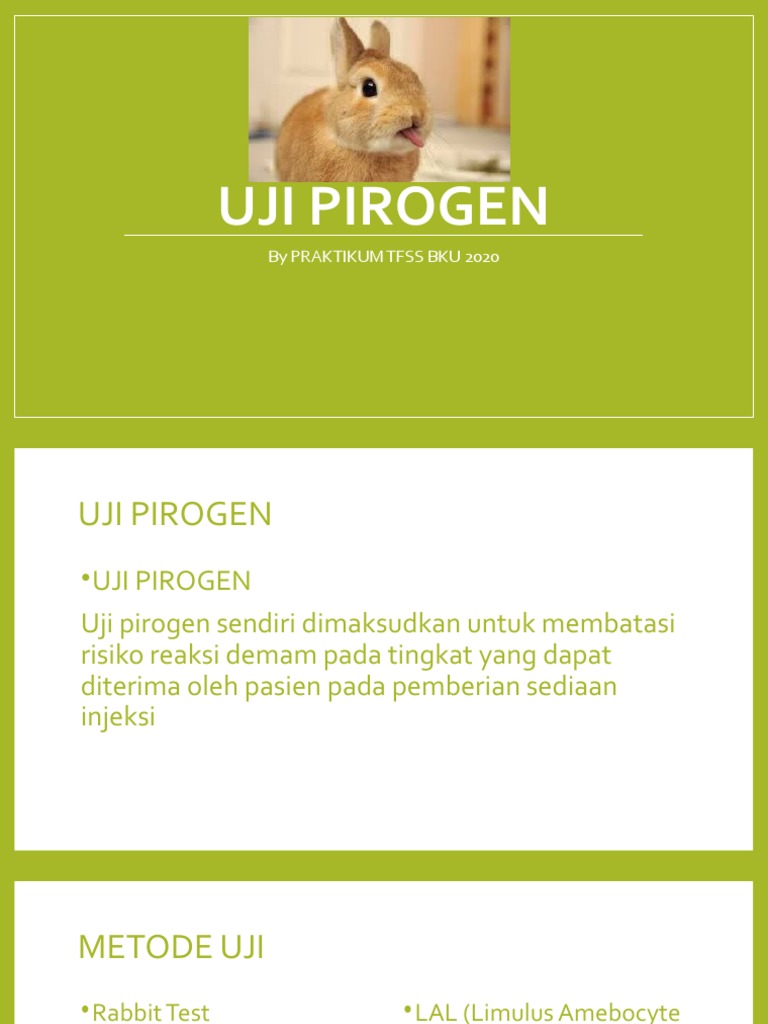 Uji Pirogen | PDF