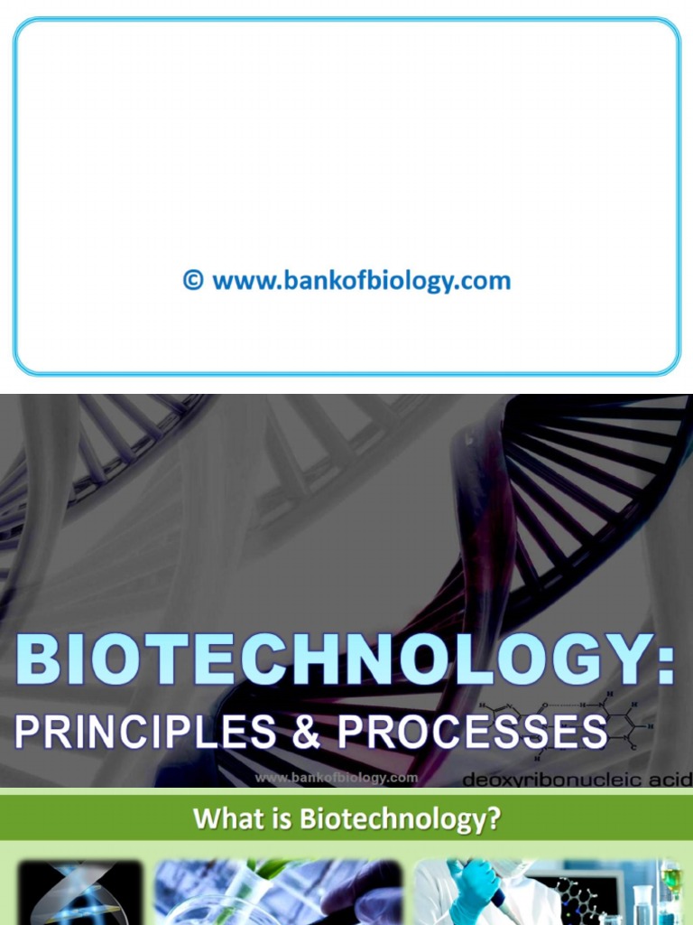 11 Biotechnology Principles N Processes PPT Part 1 | PDF