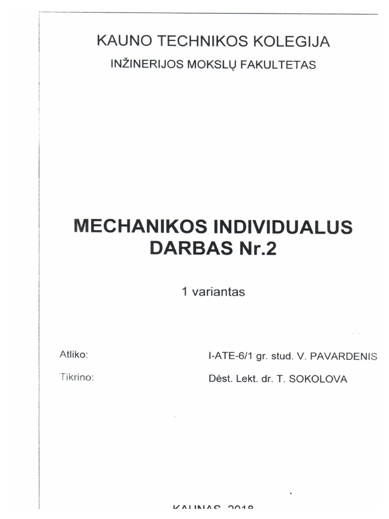 2 Individualus Darbas - Pavyzdys 1 | PDF