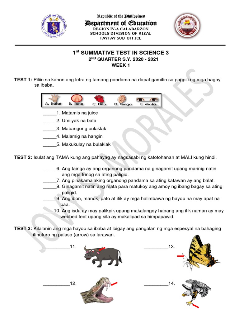 SUMMATIVE TEST No 1-4 IN SCIENCE 3 - Q2 | PDF