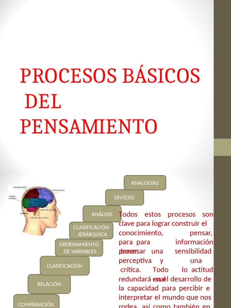 Procesos Básicos Del Pensamiento | PDF | Información | Ciencia cognitiva