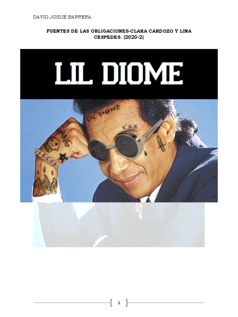 Fuentes de Las Obligaciones-Clara Cardozo y Lina Cespedes | PDF ...
