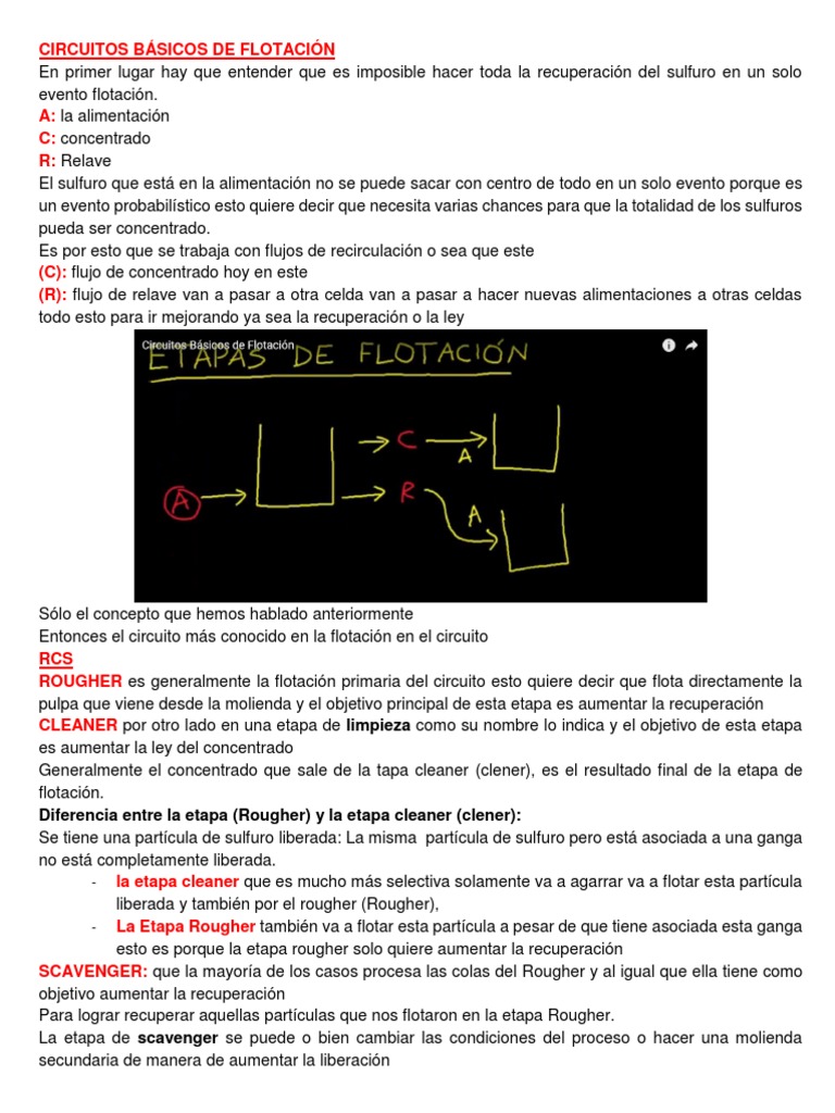 Circuitos Básicos de Flotación | PDF | Naturaleza