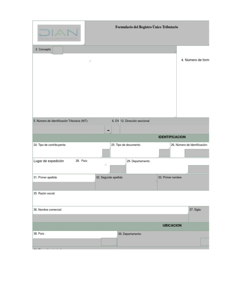 Registro Único Tributario: Formulario y Requisitos | PDF
