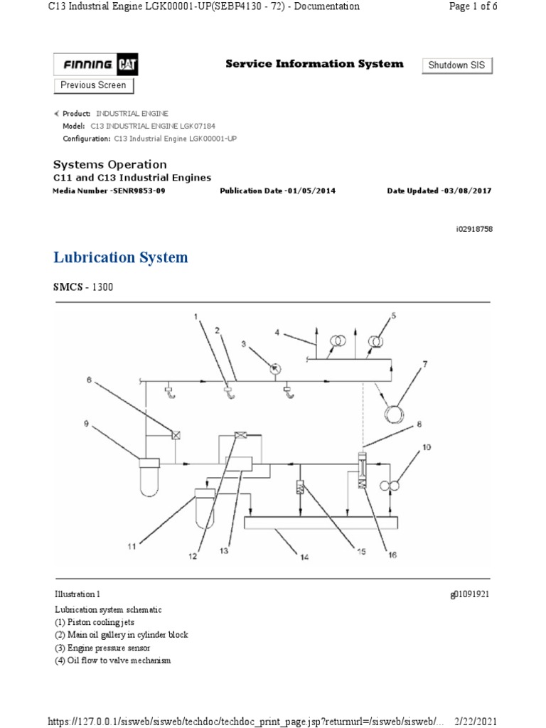 C13 Oil System | PDF | Motor Oil | Piston