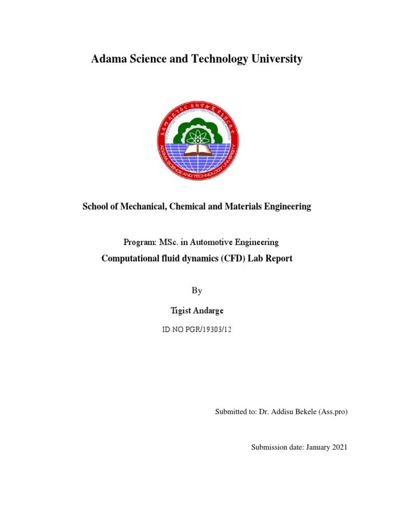 Tigist CFD Lab Report | PDF | Fluid Dynamics | Turbulence