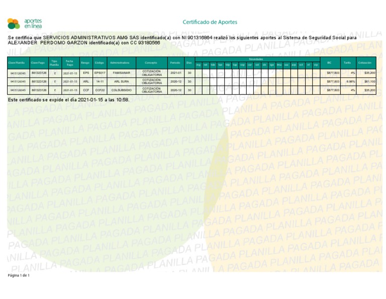 Alexander Perdomo Garzon Enero | PDF | Business