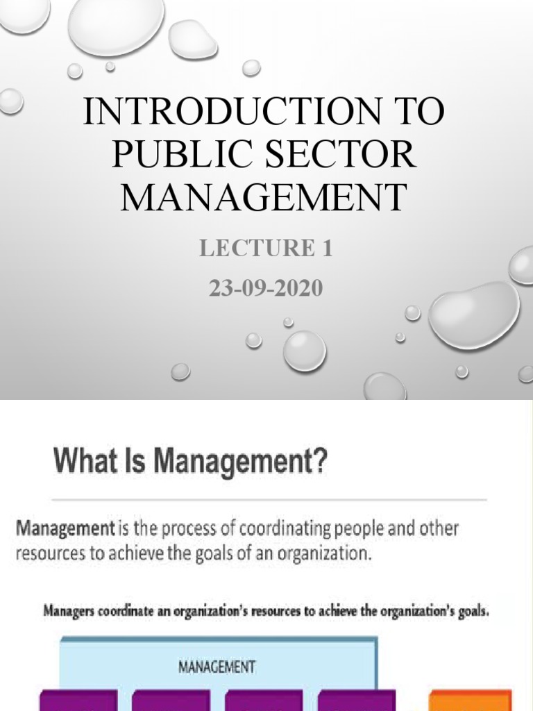 Introduction To Public Sector Management | PDF | Policy | System