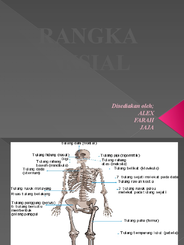 Rangka Aksial | PDF