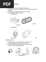 BC Science 8 Workbook Answers | PDF | Electromagnetic Spectrum ...