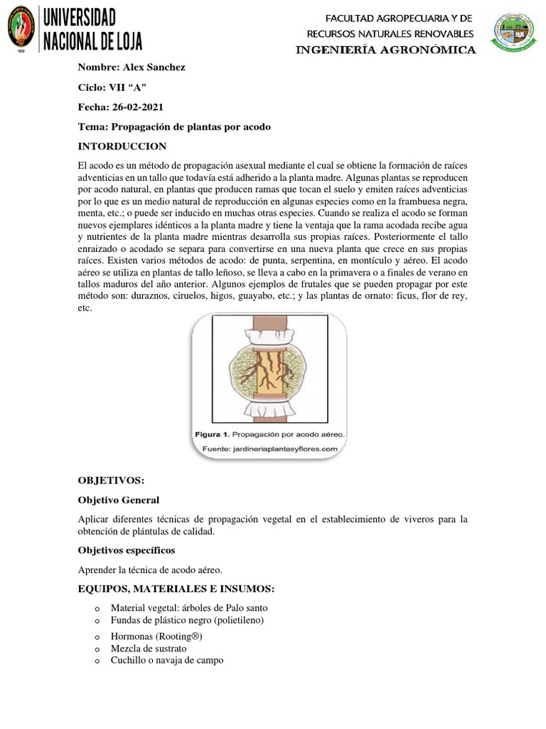 Practica 6 Propagacion Por Acodos e Injertos | PDF | Injerto | Tallo de ...
