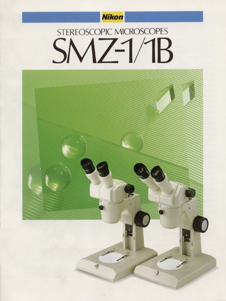 SMZ 1 | PDF