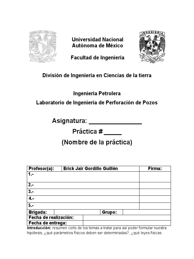 Formato Practicas IPP | PDF