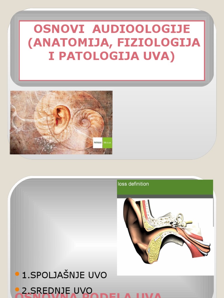 Osnovi Anatomije | PDF