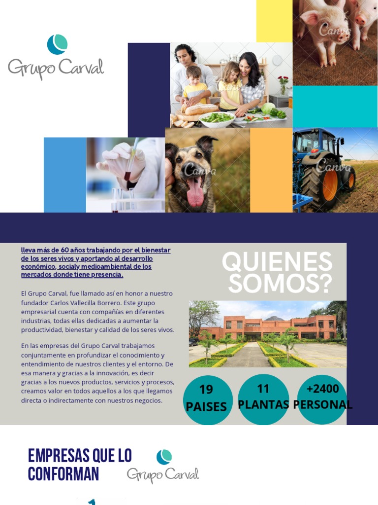 Grupo Carval: Innovación y Bienestar | PDF | Empresas | Bienestar