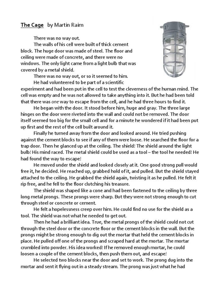 The Cage by Martin Raim | PDF | Mortar (Masonry) | Experiment