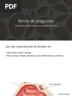 Músculos Constrictor y Rafe Faríngeo | PDF | Cabeza y cuello humanos ...