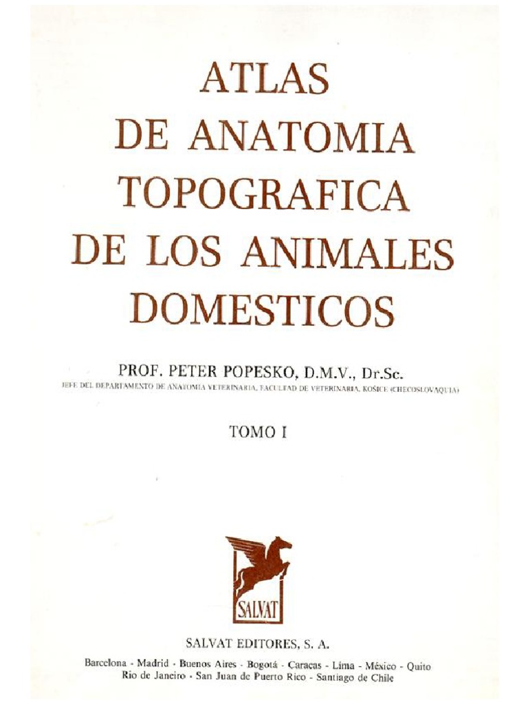 Atlas de Anatomía Topográfica de Los Animales Domésticos - Popesko Tomo I | PDF