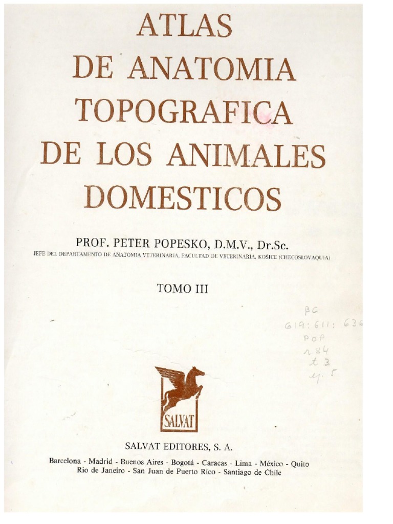 Atlas de Anatomía Topográfica de Los Animales Domésticos - Popesko Tomo ...