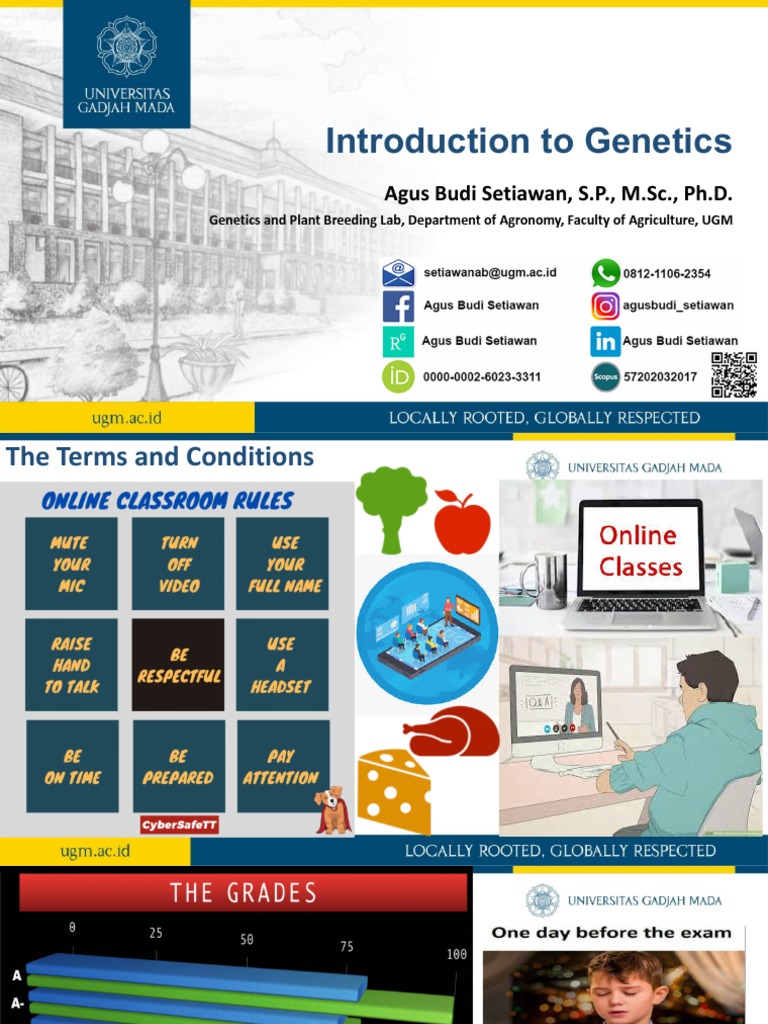 Introduction To Genetics | PDF | Genetics | Gene
