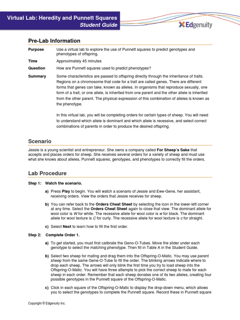 Virtual Lab Guide - Heredity and Punnett Squares | PDF | Allele | Heredity