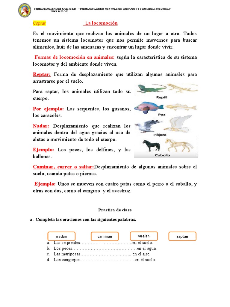 Formas de locomoción en animales | PDF | Locomoción animal | Naturaleza