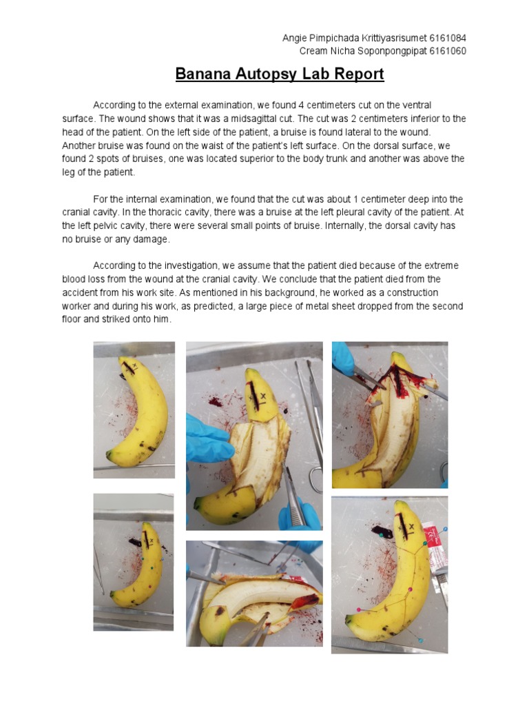 Angie Cream Banana Autopsy Lab Report | PDF | Self-Improvement | Wellness
