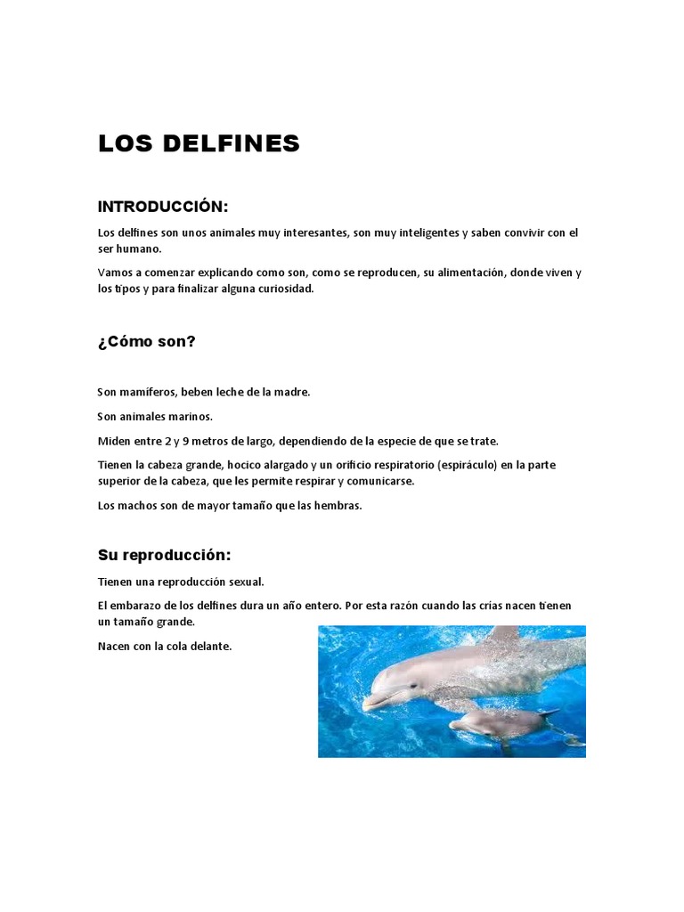 Descubre el Fascinante Mundo de los Delfines | PDF