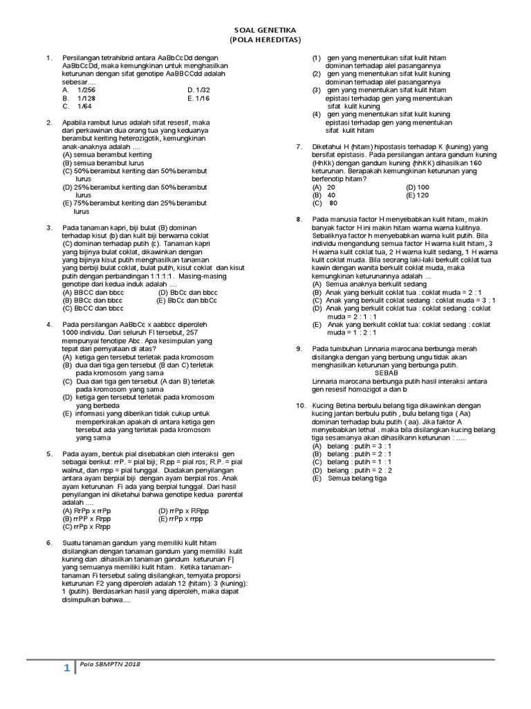 Soal Genetika | PDF