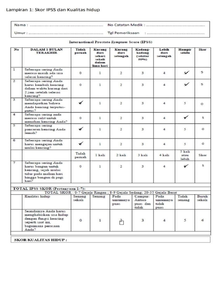 Ipss Score | PDF