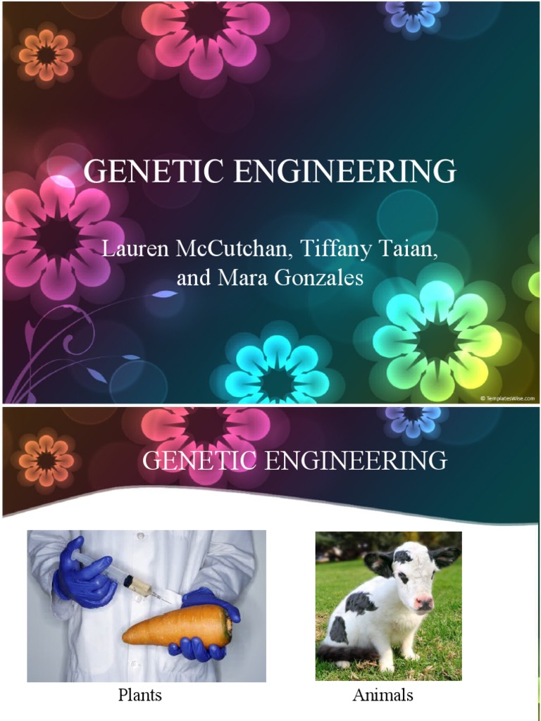 Overview of Genetic Engineering Processes | PDF