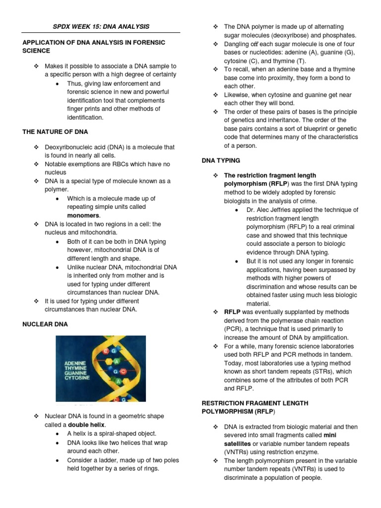 Analysis of DNA in Forensic Science: Exploring the Applications of DNA ...