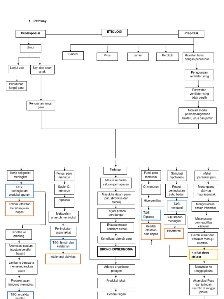 Pathway Pneumonia | PDF