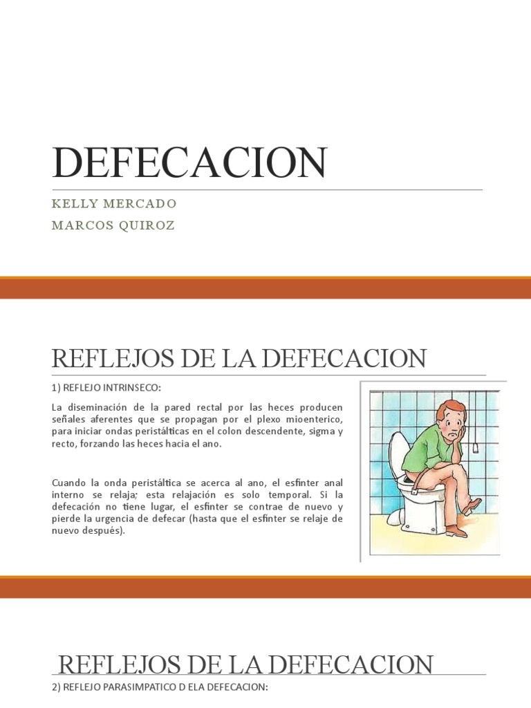 Mecanismos y reflejos de la defecación | PDF | Recto | Anatomía humana