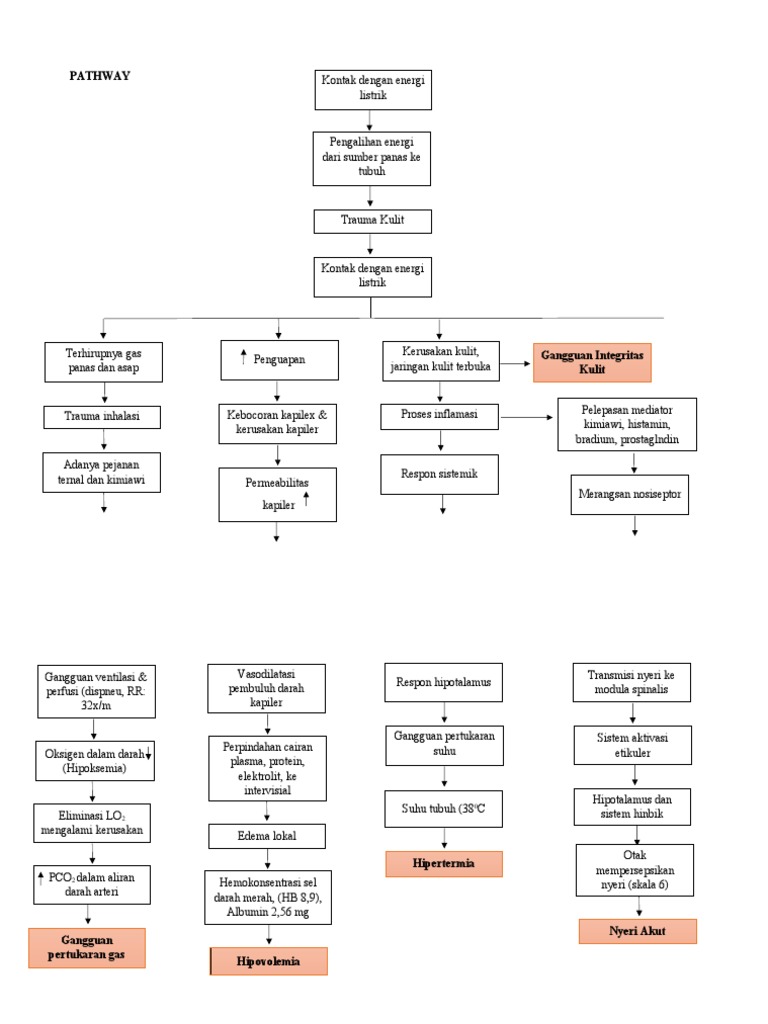 PATHWAY Luka Bakar | PDF